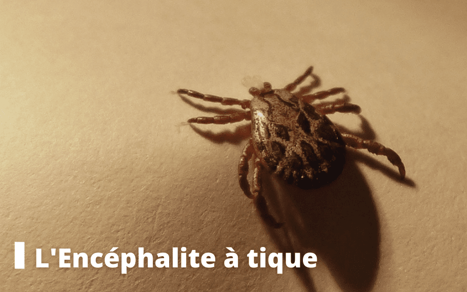 Vaccin et voyage à l'étranger - Recommandations aux voyageurs ...